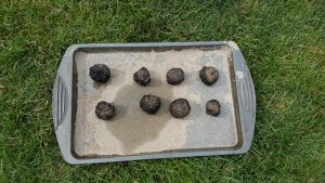 Hands-On Summer Activities with Mud - Hands-On Teaching Ideas