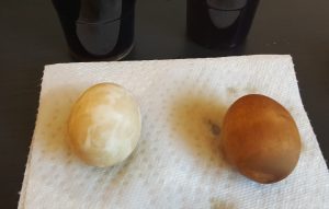 Egg Experiments with Toothpaste - Hands-On Teaching Ideas