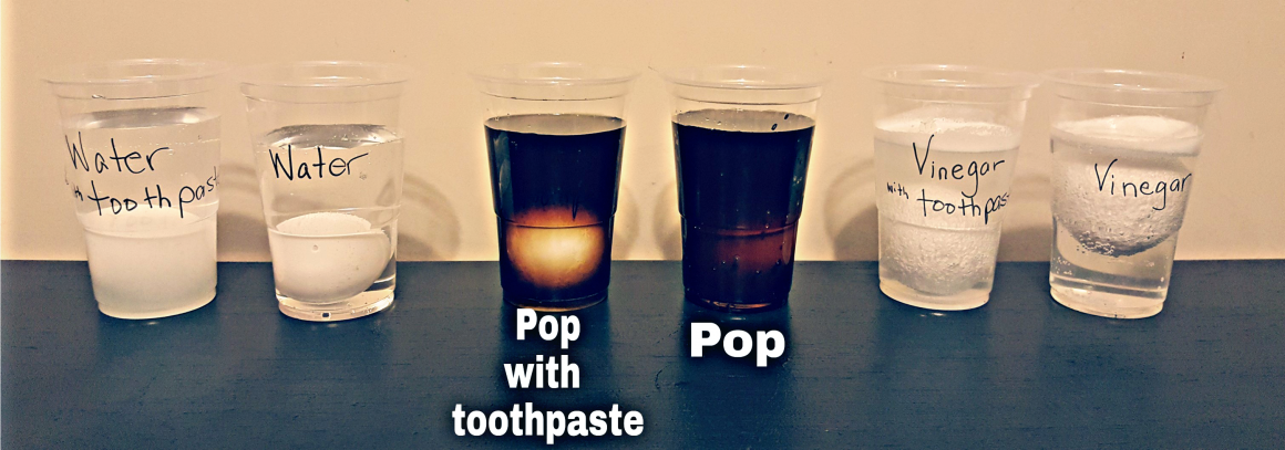 Exciting Egg Experiments to Try at Home or School