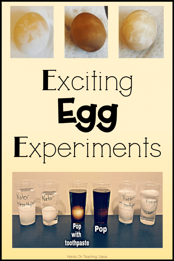 Exciting Egg Experiments to Try at Home or School