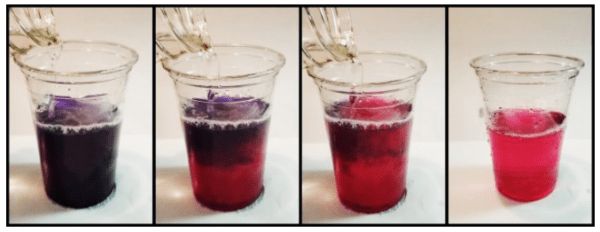 33+ Best Water STEM Activities for Kids