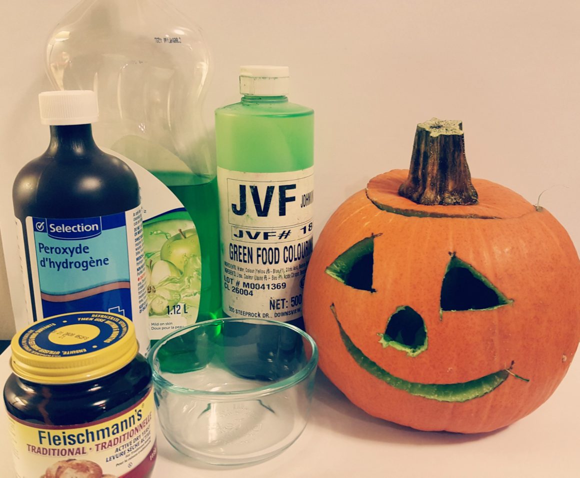 Preschool Pumpkin Science Experiment