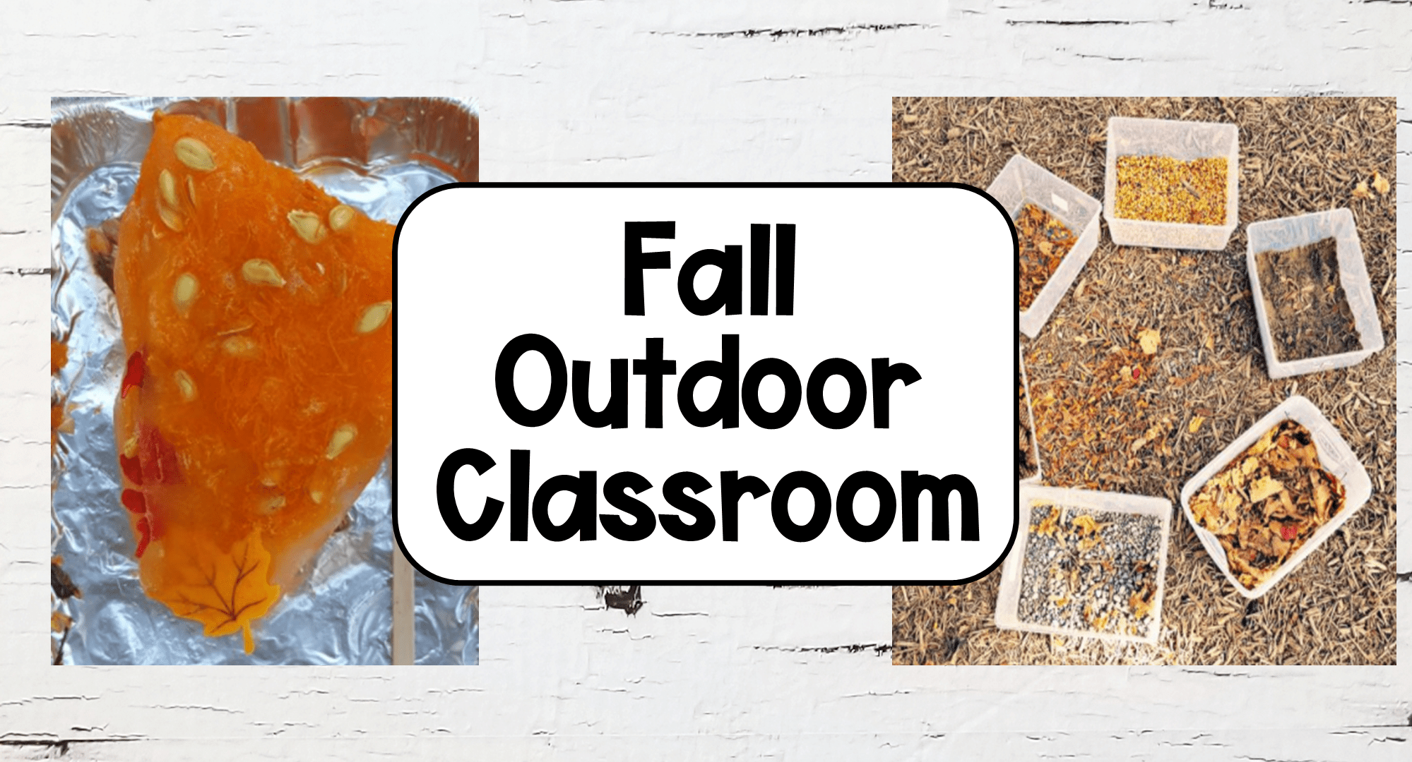 Outdoor Classroom Ideas for Kids - Hands-On Teaching Ideas