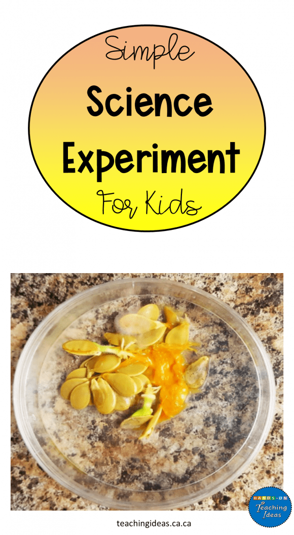 FREE Kindergarten Worksheets and Activity - Hands-On Teaching Ideas