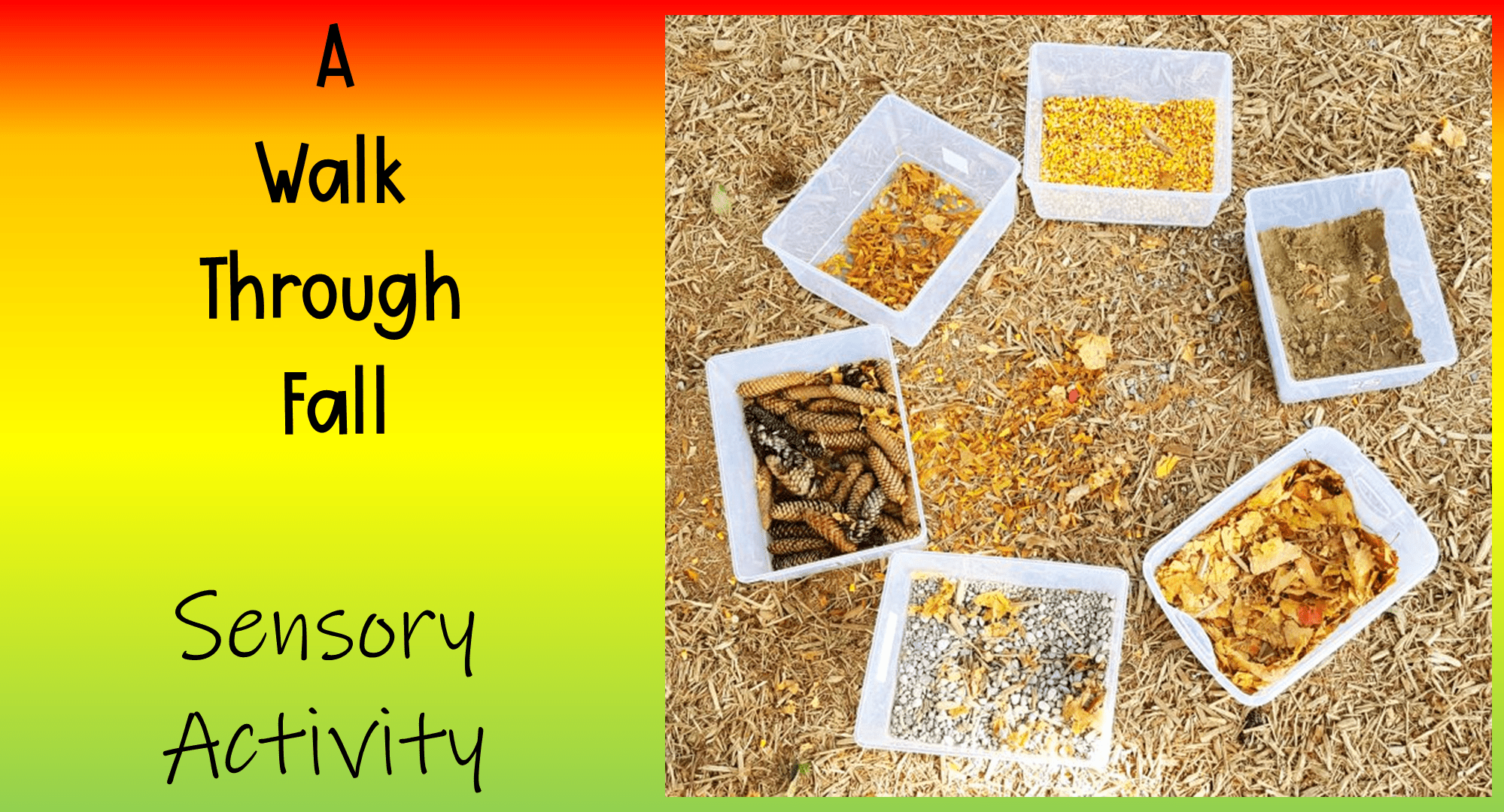 Sensory Activity A Walk Through Fall - Hands-On Fun
