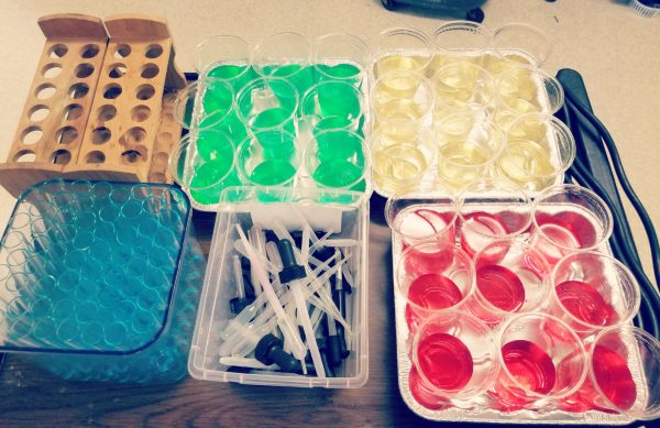 Easy Test Tube Science Experiments for Kids - Hands-On Teaching Ideas