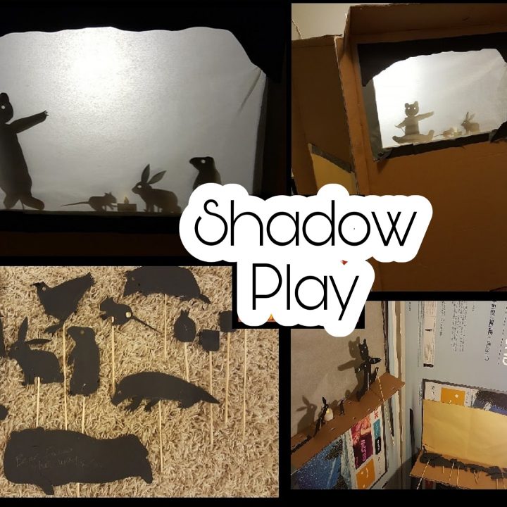 Shadow Play - Hands-On Teaching Ideas - Kindergarten Adventures