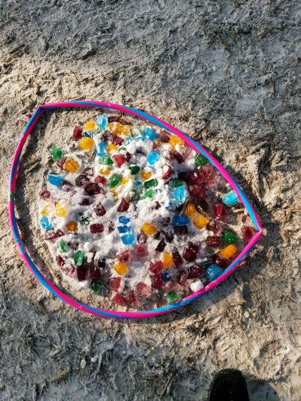 8 Easy Winter Outdoor Education Activities