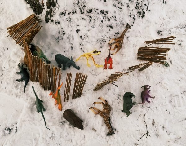 8 Easy Winter Outdoor Education Activities