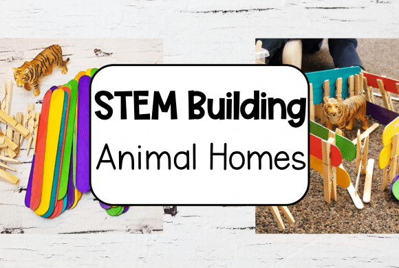 45+ STEM Challenge Ideas for Kids to do at Home or School
