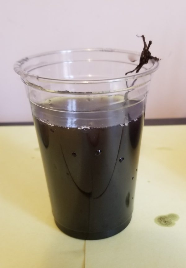 Clean Water Experiment for Kids - Hands-On Teaching Ideas