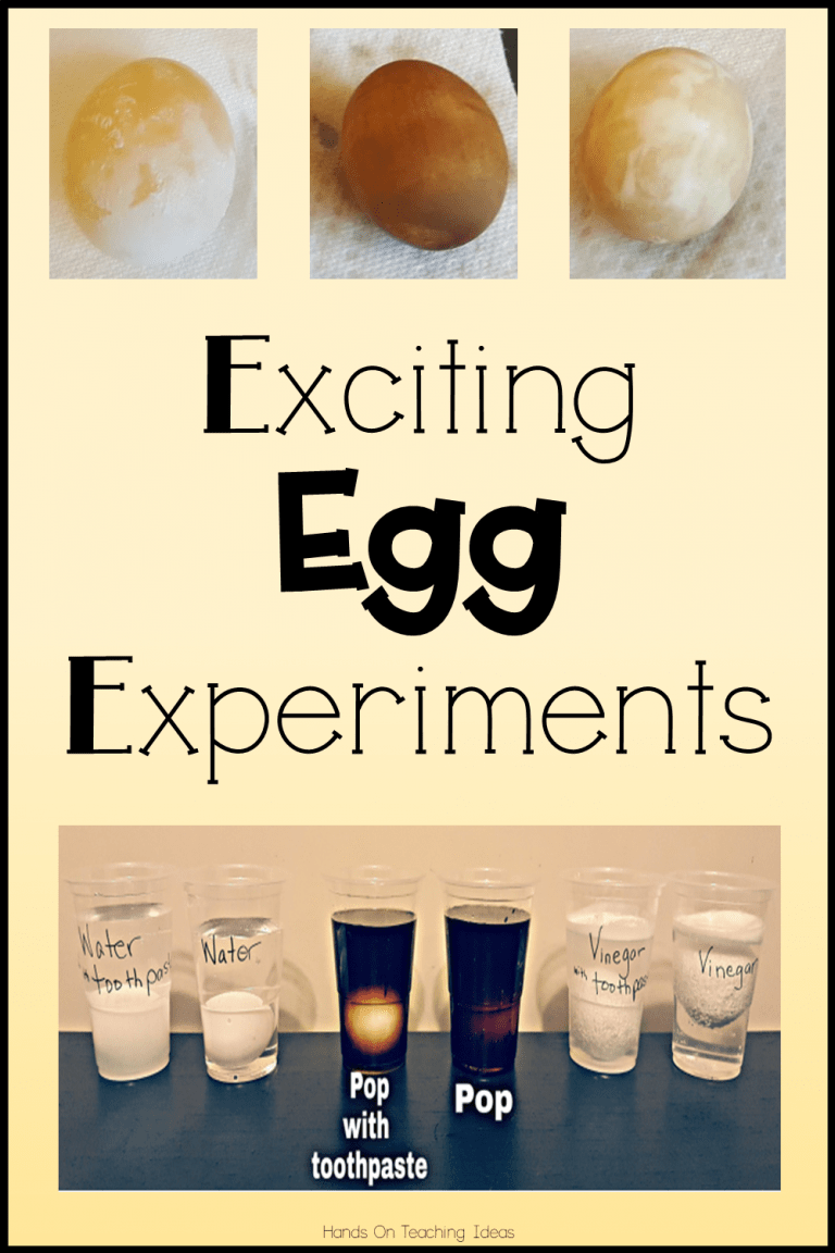 Science Experiment for Kids with Eggs - Hands-On Teaching Ideas