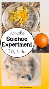 Pumpkin Science Experiments for Kids at Home or School