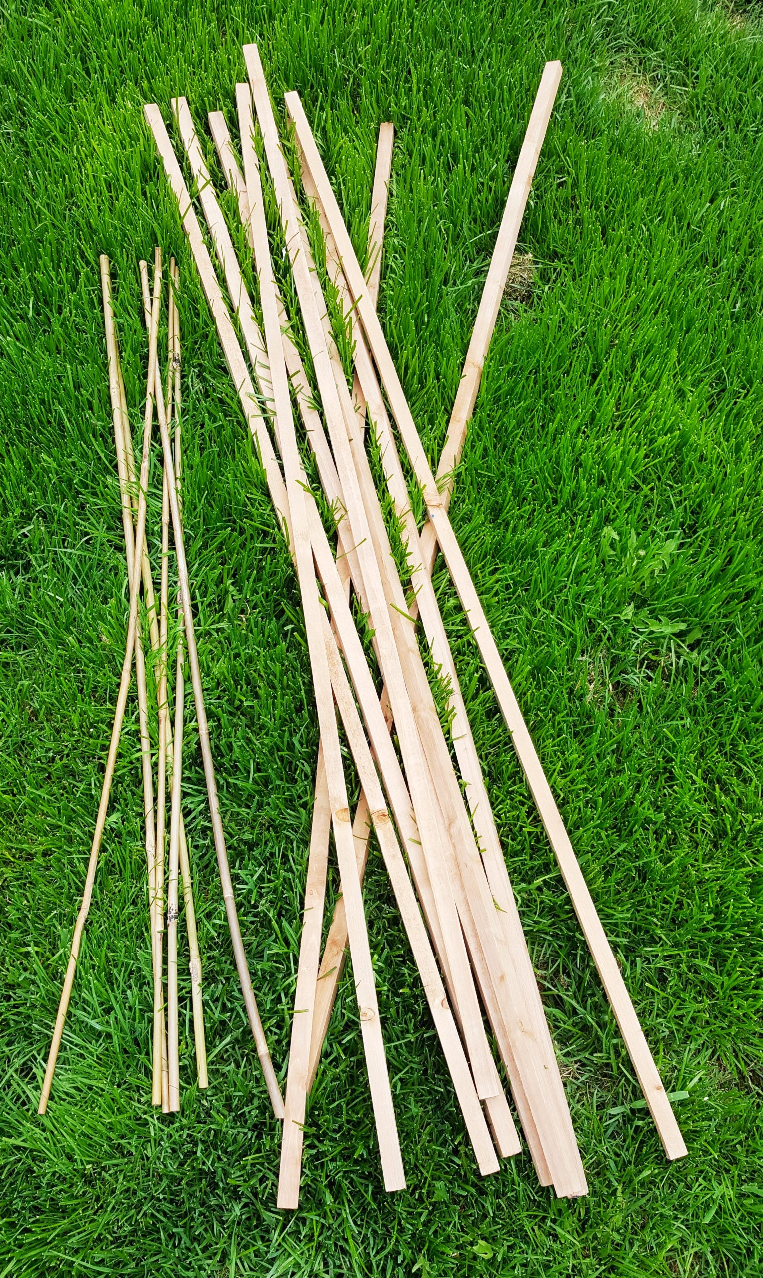 STEM Challenge Kindergarten Engineering Activity