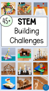 Animal STEM for Kids in Kindergarten and Primary