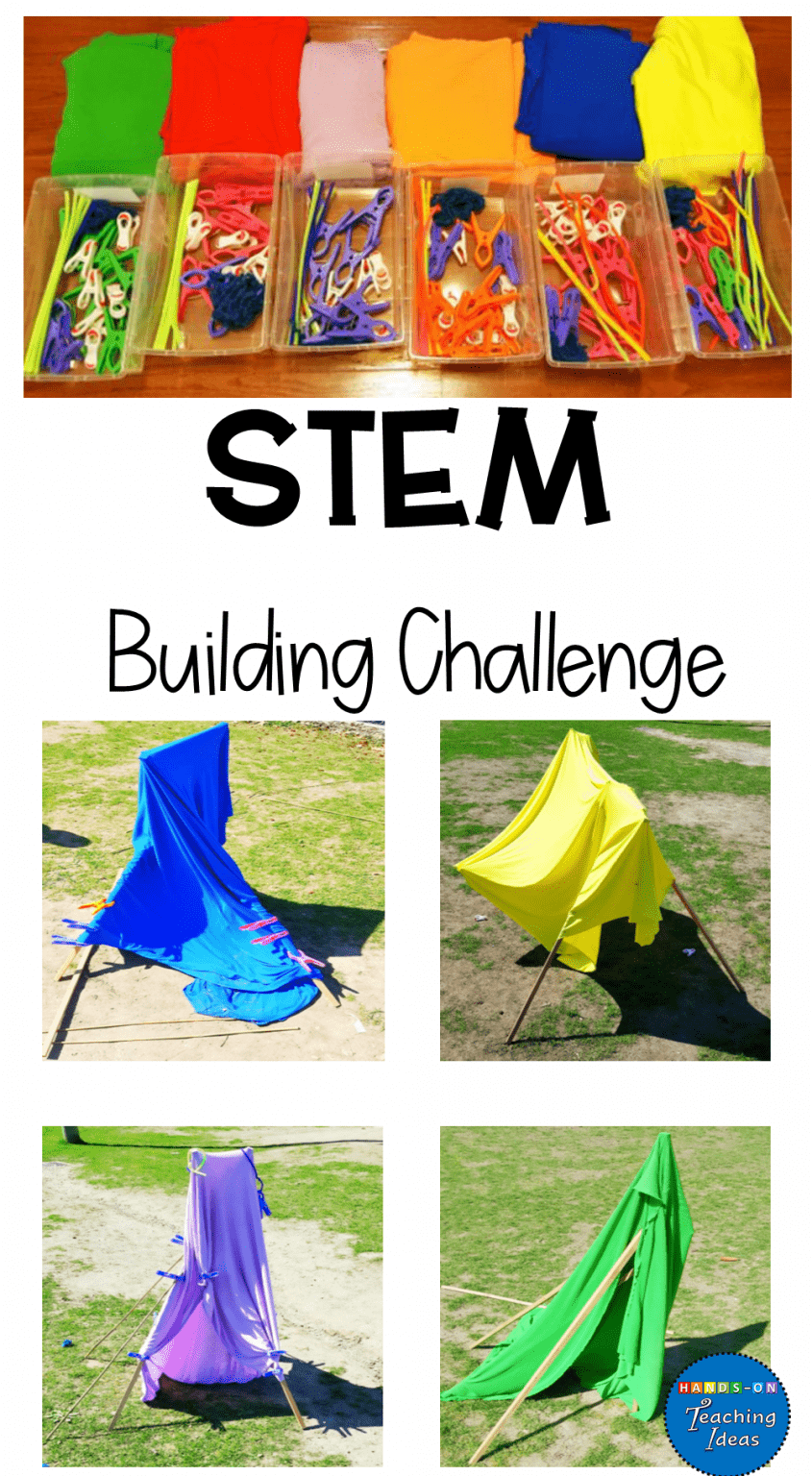 Animal STEM for Kids in Kindergarten and Primary