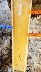 Simple Friction Experiments for kids - Hands-On Teaching Ideas