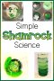 Exciting Shamrock Science Experiment for Kids- Hands-On Teaching Ideas