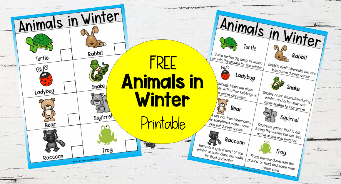 Animals that Hibernate in Winter Scavenger Hunt for Kids