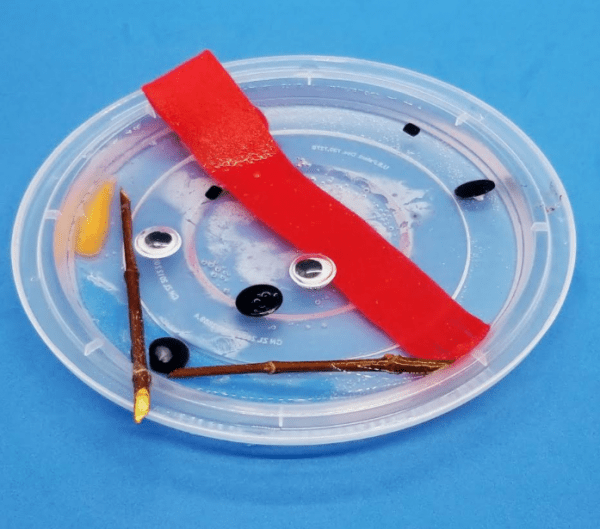 Melting Snowman Easy Science Experiments - Hands-On Activity