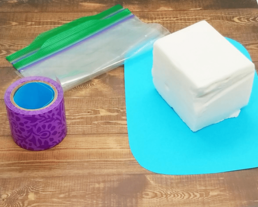 Hands-On Science Experiments for Kids About Animal Adaptations