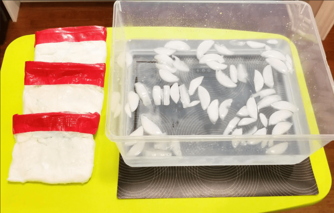 Hands-On Science Experiments for Kids About Animal Adaptations