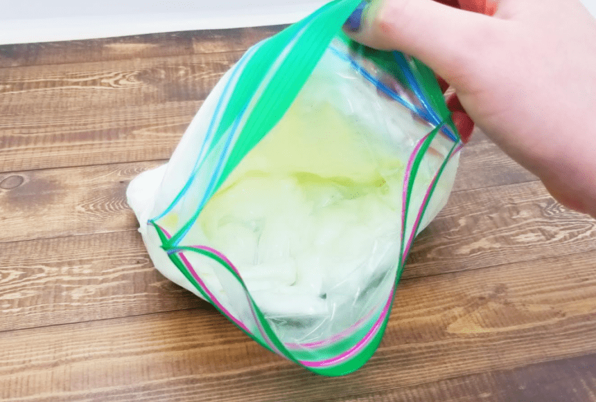 Hands-On Science Experiments for Kids About Animal Adaptations