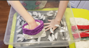 Hands-On Science Experiments for Kids About Animal Adaptations