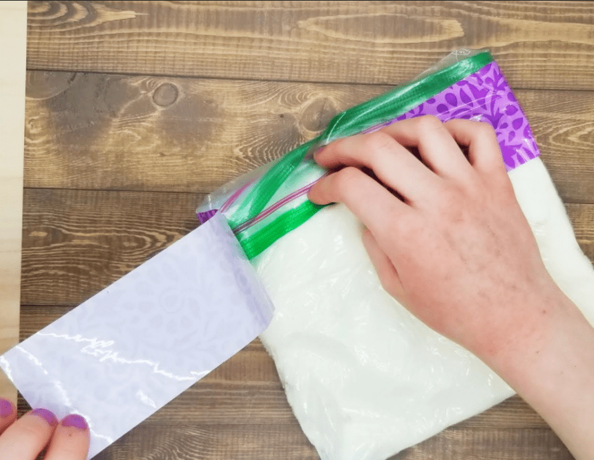 Hands-On Science Experiments for Kids About Animal Adaptations