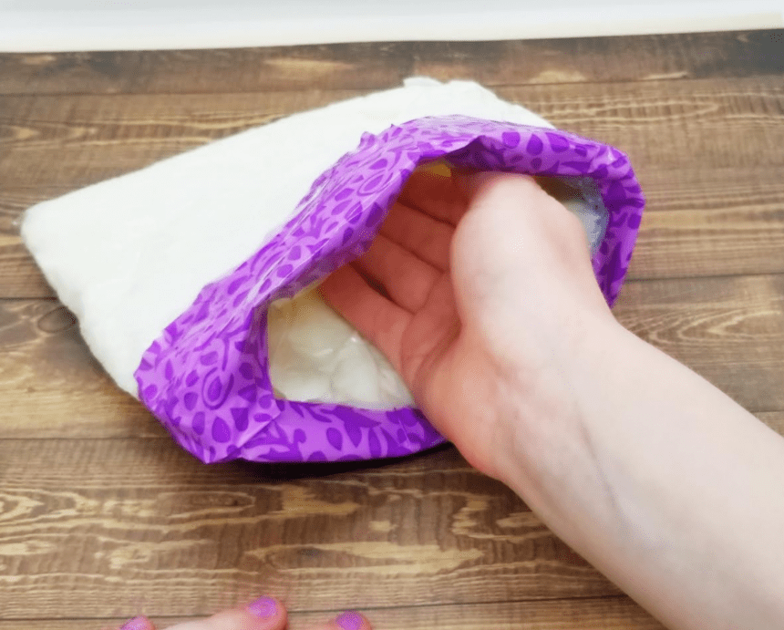 Hands-On Science Experiments for Kids About Animal Adaptations