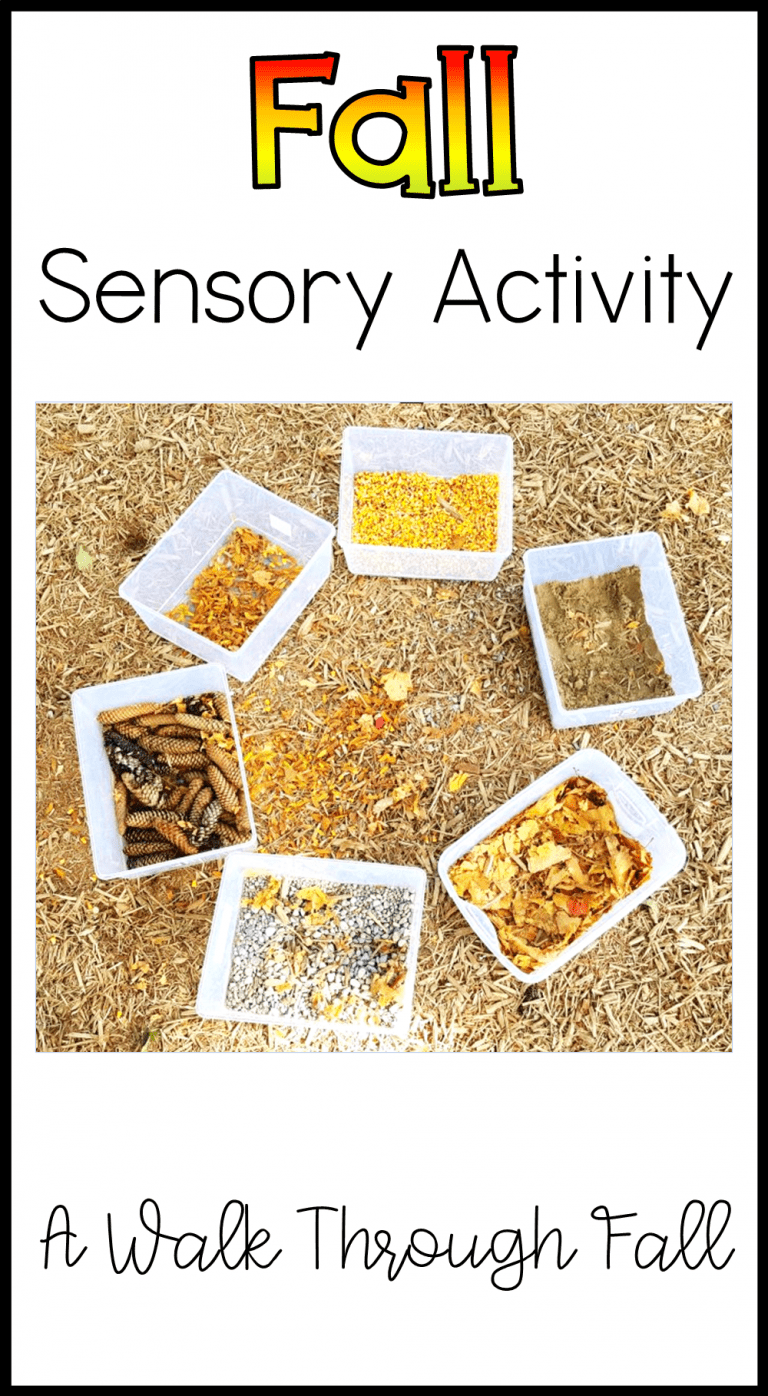Easy Fall Sensory Activity for Kids