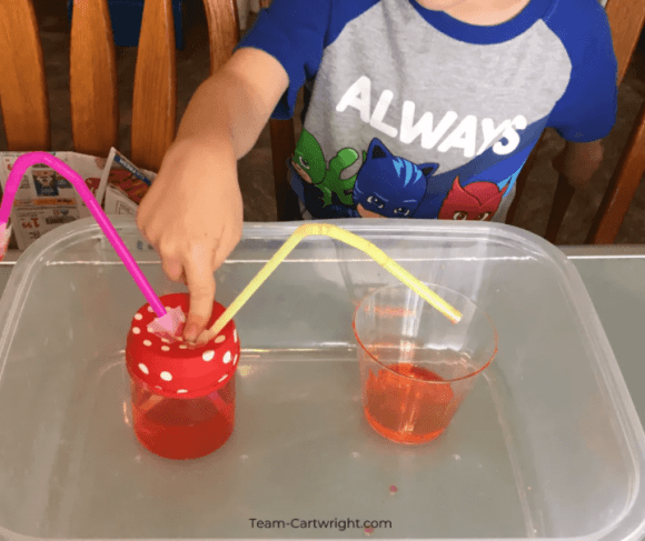81+ Easy Science Experiments for Kids to do at Home or School