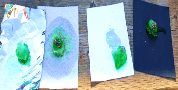 Simple Summer Science for Kids - Hands-On Teaching Ideas Ice Cubes