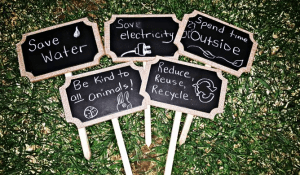 Simple Earth Day Activity Nature Walk - Hands-On Teaching Ideas