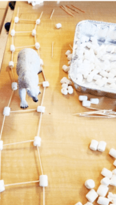 STEM for Kids Structure Challenge - Hands-On Teaching Ideas