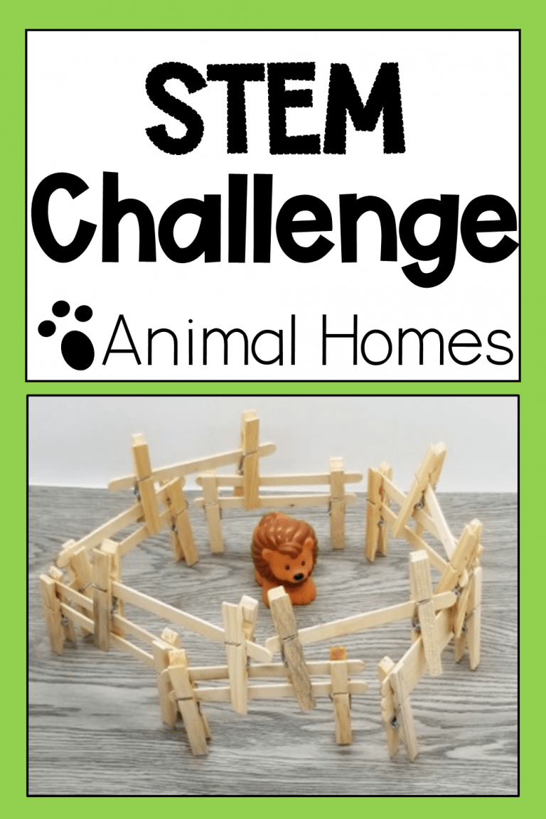 Animal STEM for Kids in Kindergarten and Primary