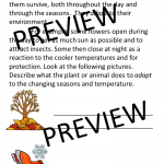 Daily and Seasonal Changes Unit - 1st Grade Science - Student Booklet ...