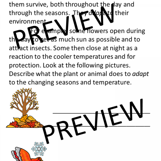 Daily and Seasonal Changes Unit - 1st Grade Science - Student Booklet ...