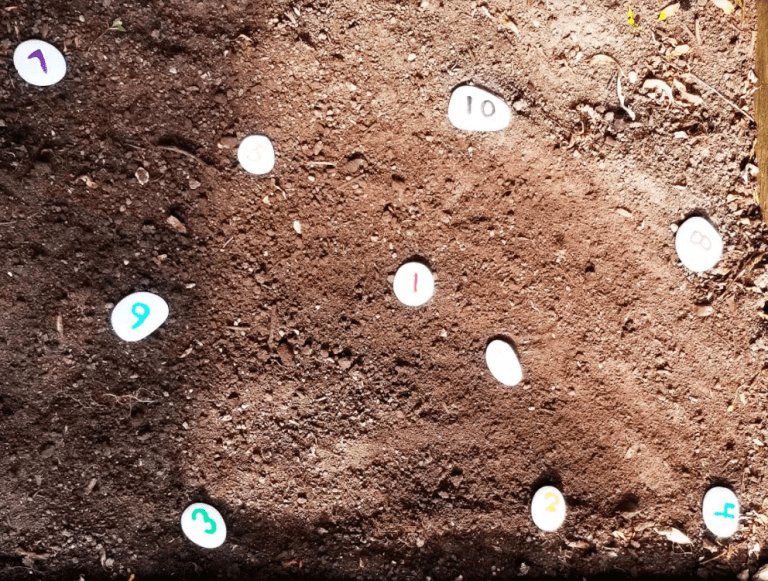 Summer Escape Room for Kids - Hands-On Teaching Ideas