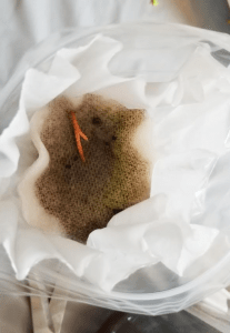 Clean Water Experiment for Kids - Hands-On Teaching Ideas