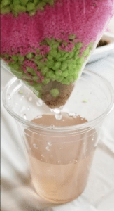 Clean Water Experiment for Kids - Hands-On Teaching Ideas