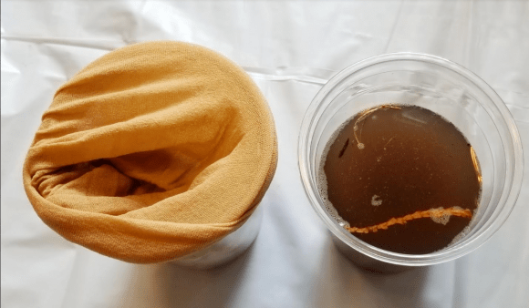 Clean Water Experiment for Kids - Hands-On Teaching Ideas