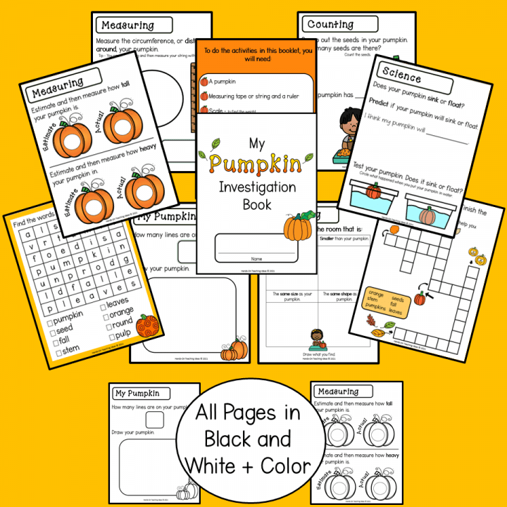Pumpkin Activities + Pumpkin Investigation - Hands-On Teaching Ideas