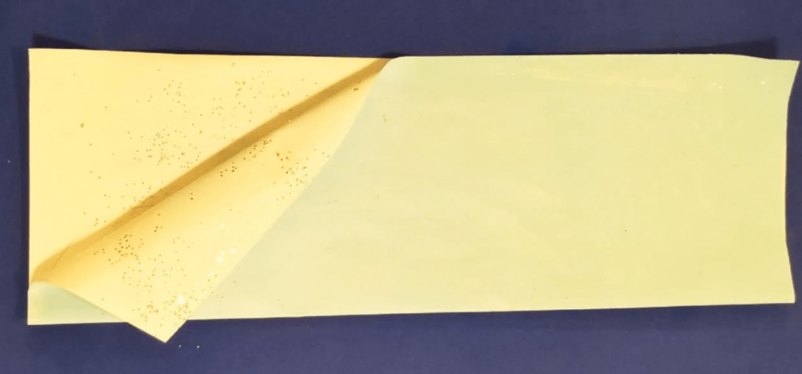 Fun Snowman Story and Winter Activity for Kids