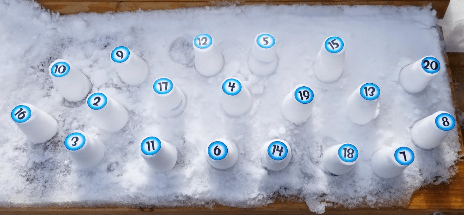 Winter Outdoor Learning Activity (FREE Printable)