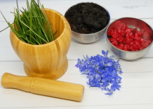 29 Spring Outdoor Learning Activities for Kids with FREE Printable