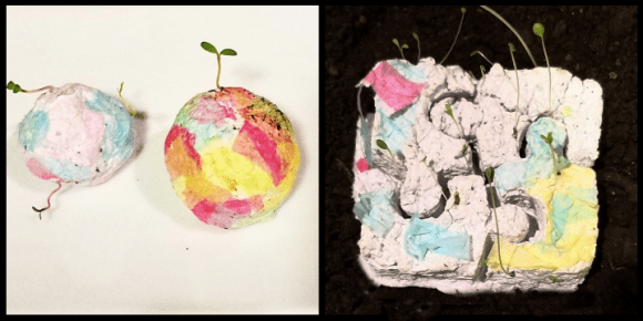 29 Spring Outdoor Learning Activities for Kids with FREE Printable