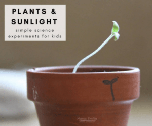 35 Easy Spring STEM Activities - Hands-On Teaching Ideas