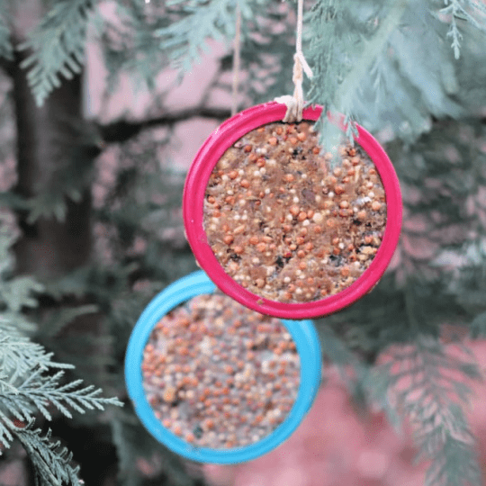 35 Easy Spring STEM Activities - Hands-On Teaching Ideas