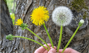 35 Easy Spring STEM Activities - Hands-On Teaching Ideas